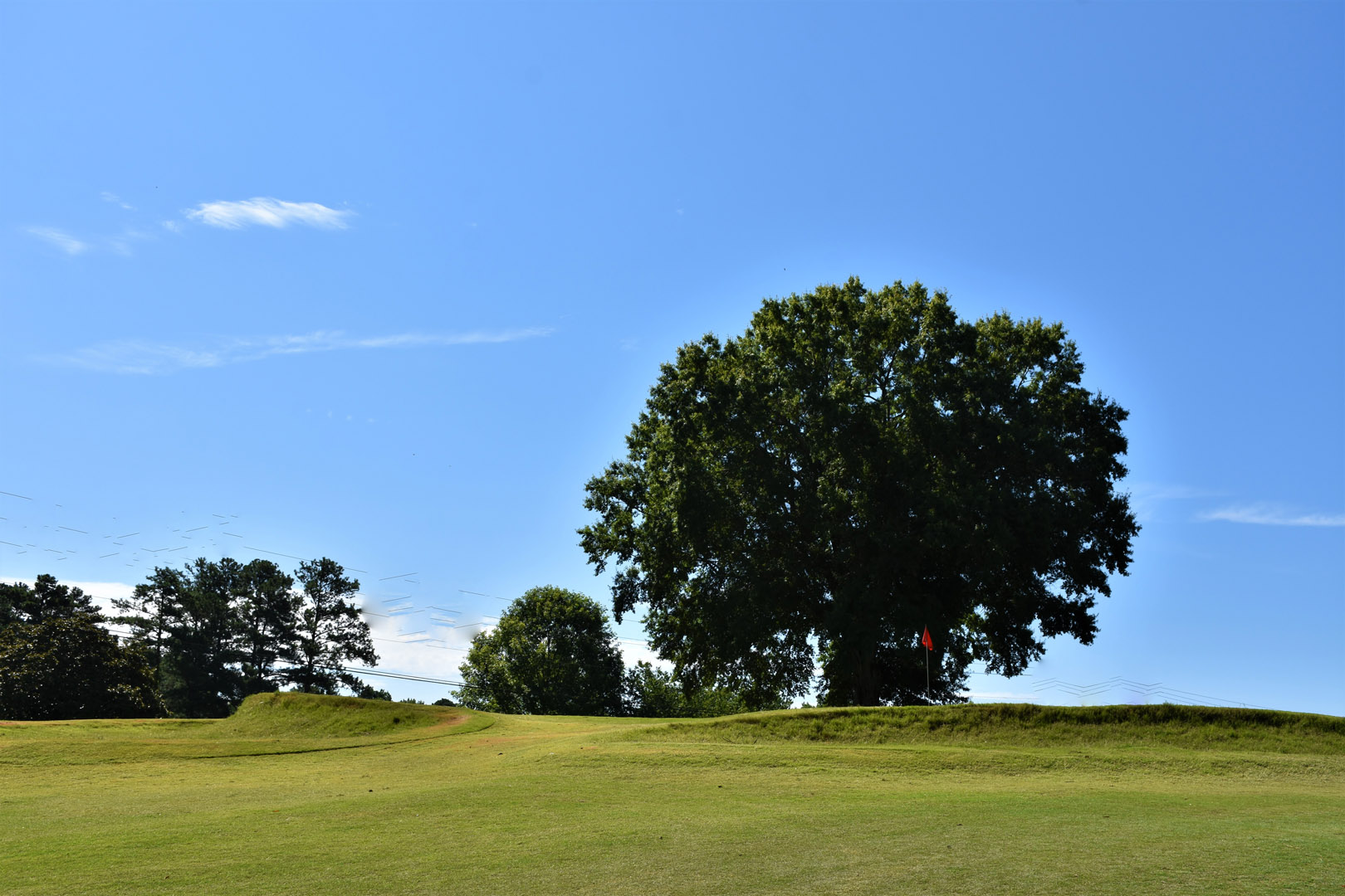 Photo Gallery - Collins Hill Golf Club
